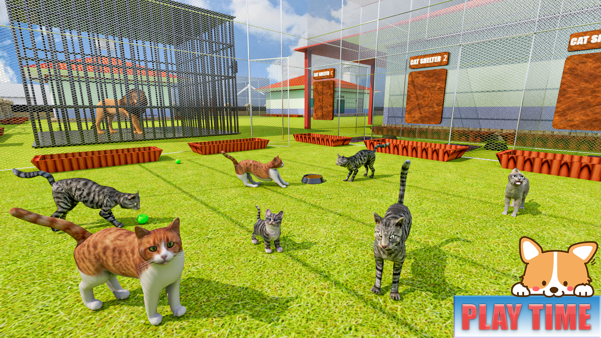 Animal Shelter: Pet World Game android iOS apk download for free-TapTap