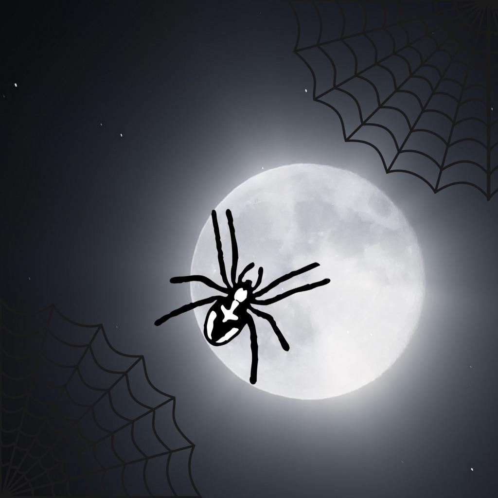 Spider-Web Latest Version for Android/iOS APK - TapTap