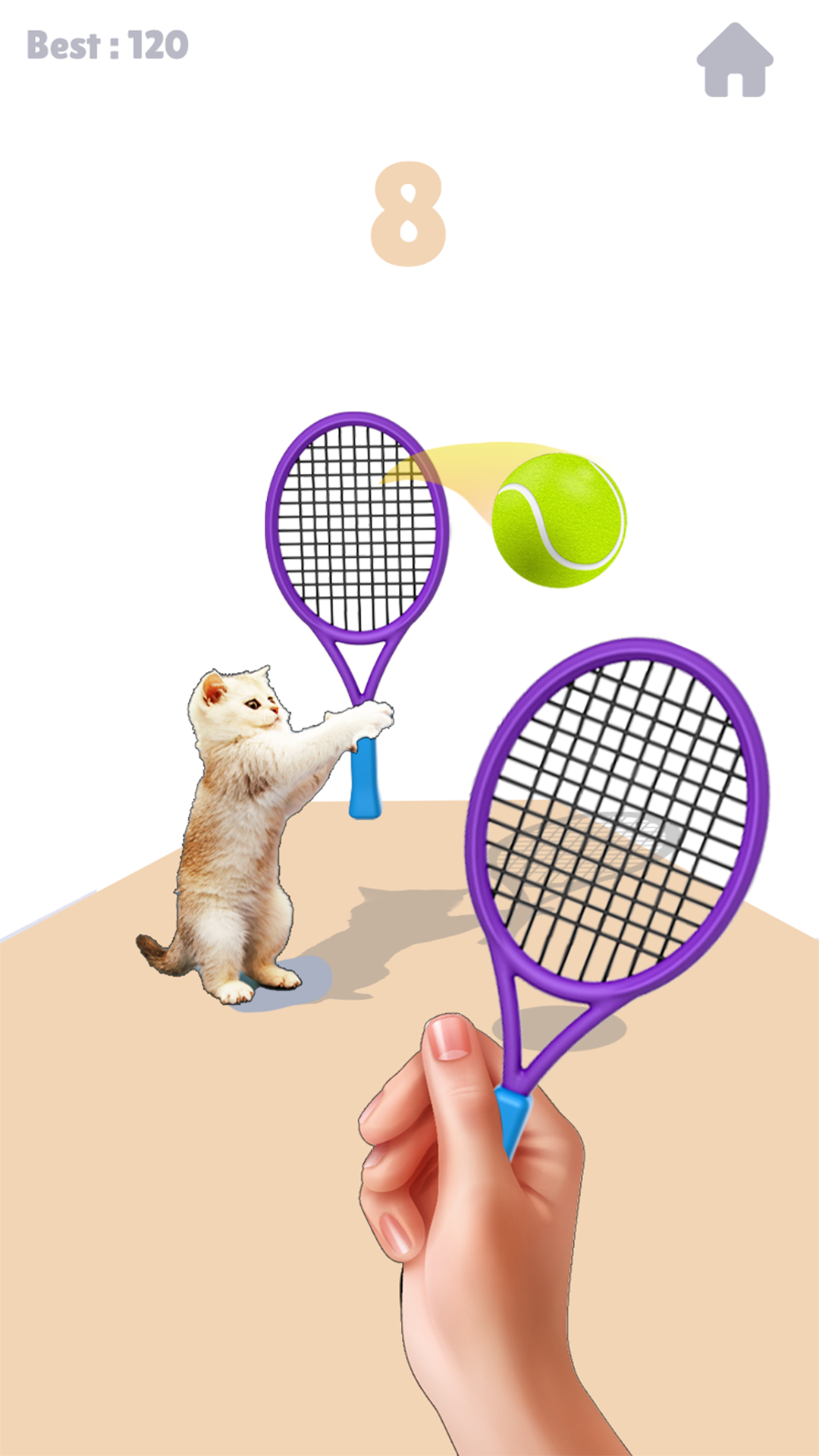 Meme Tennis Cat android iOS apk download for free-TapTap
