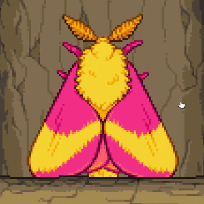 Bugaboo Pocket Latest Version for Android/iOS APK - TapTap