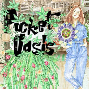 Pocket Oasis Latest Version for Android/iOS APK - TapTap