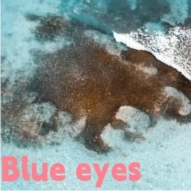 Blue eyes Latest Version for Android/iOS APK - TapTap