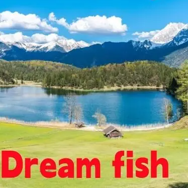 Dream fish for Android/iOS - TapTap
