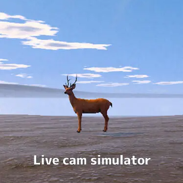 Live Cam Simulator Latest Version for Android/iOS - TapTap
