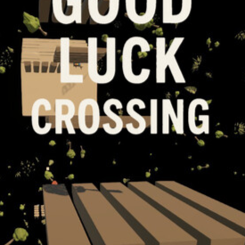 Good Luck Crossing Latest Version for Android/iOS - TapTap