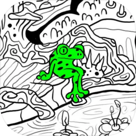 100 hidden frogs android iOS-TapTap