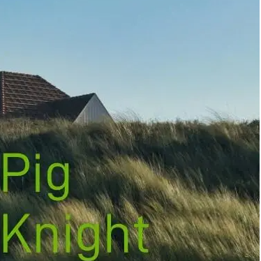 Pig Knight Latest Version for Android/iOS - TapTap