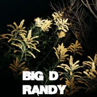 Big D Randy Latest Version for Android/iOS APK - TapTap