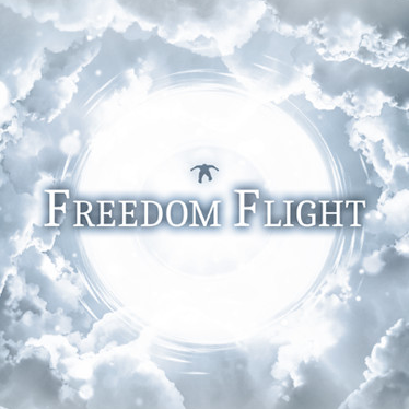 Freedom Flight Latest Version for Android/iOS - TapTap