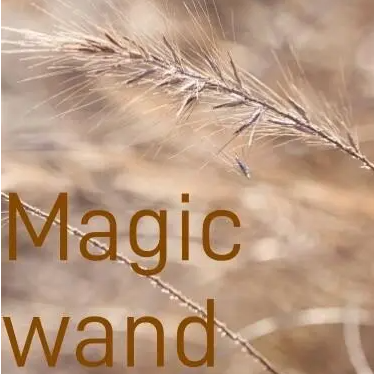 Magic wand Latest Version for Android/iOS - TapTap