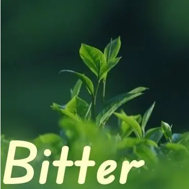 Bitter Latest Version for Android/iOS - TapTap