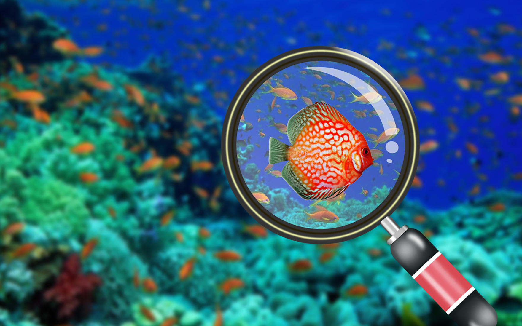 Download Find it out - hidden fish 1.0.0 for Android/iOS APK - TapTap
