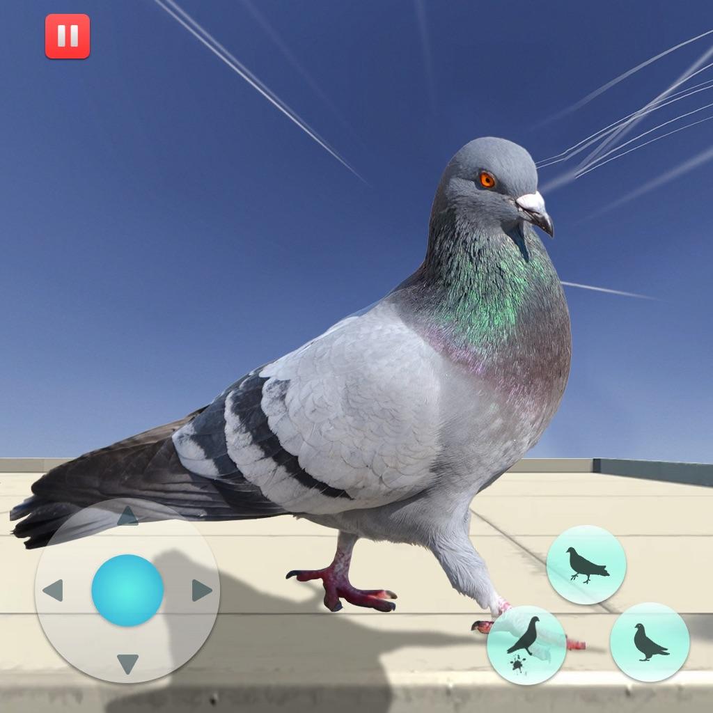 Hungry Pigeon Simulator Game for Android/iOS - TapTap