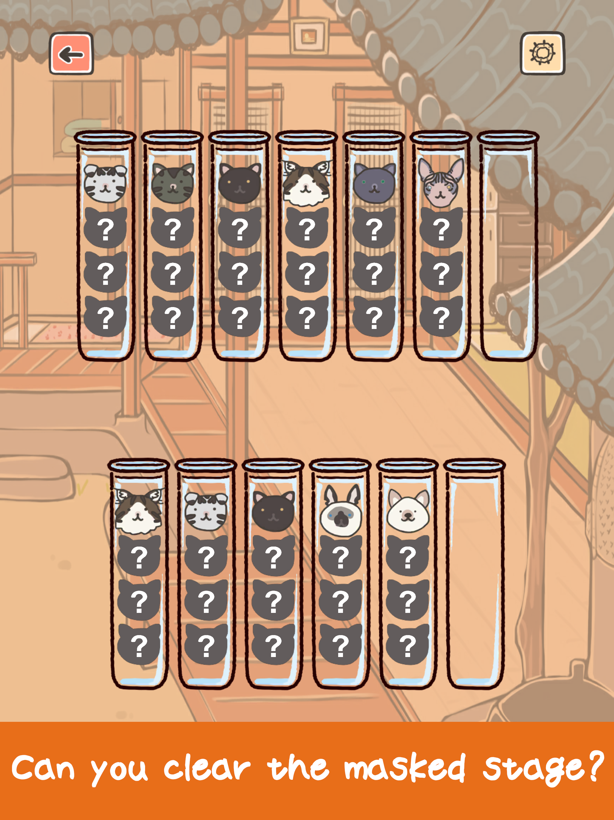 Cat Sort - Sort Puzzle Game android iOS apk download for free-TapTap