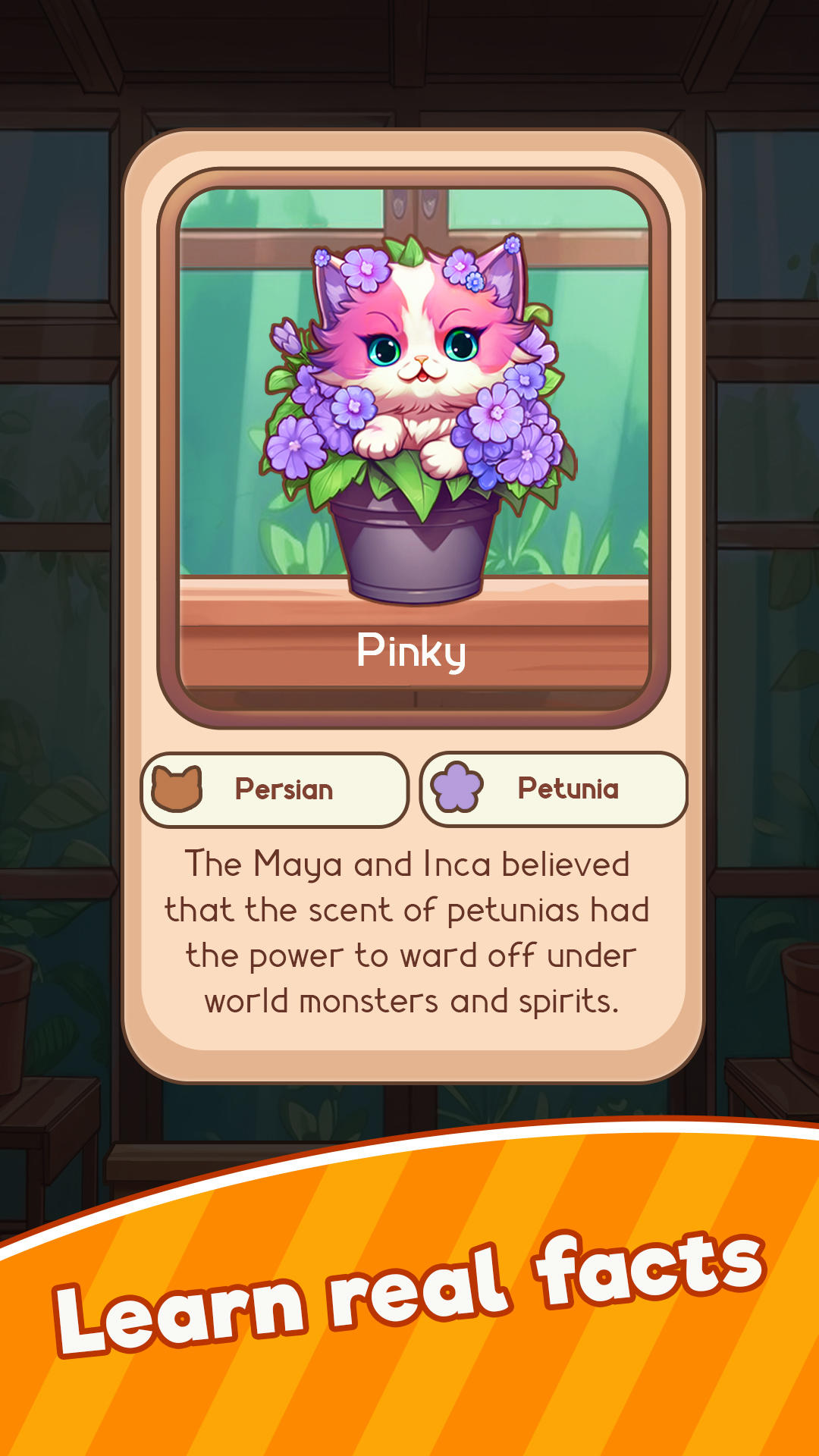 Grow Pets: Merge Kittens android iOS apk download for free-TapTap