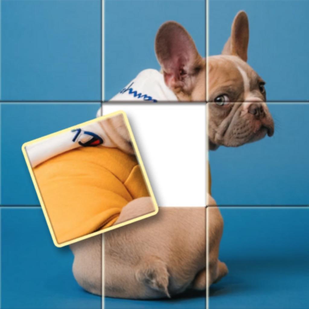 Jigsort Puzzle Games Latest Version for Android/iOS - TapTap