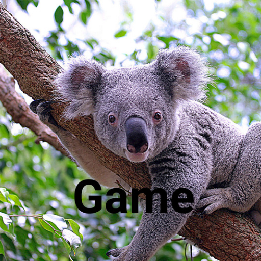 Koala Game-Adventure game for Android/iOS - TapTap
