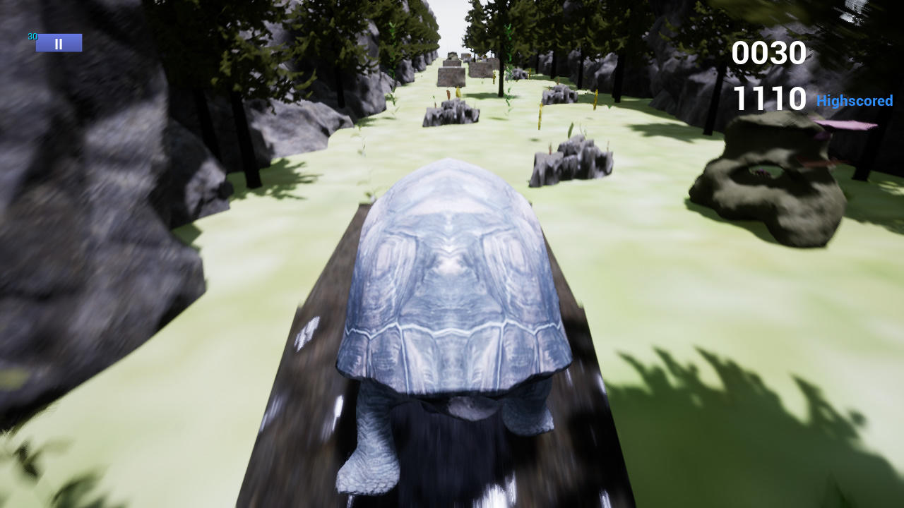 Galapagos Turtle Simulator android iOS apk download for free-TapTap