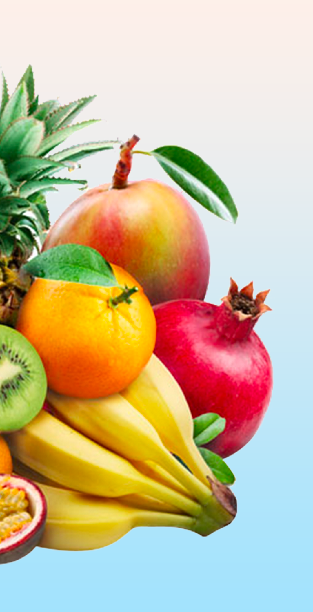 Sort Fruits android iOS-TapTap