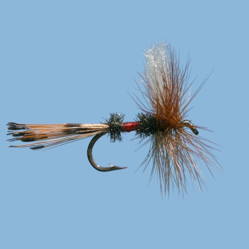 Fly Fishing Simulator for Android/iOS - TapTap