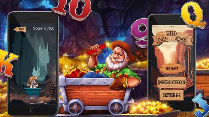 Wild Gold Miner android iOS apk download for free-TapTap