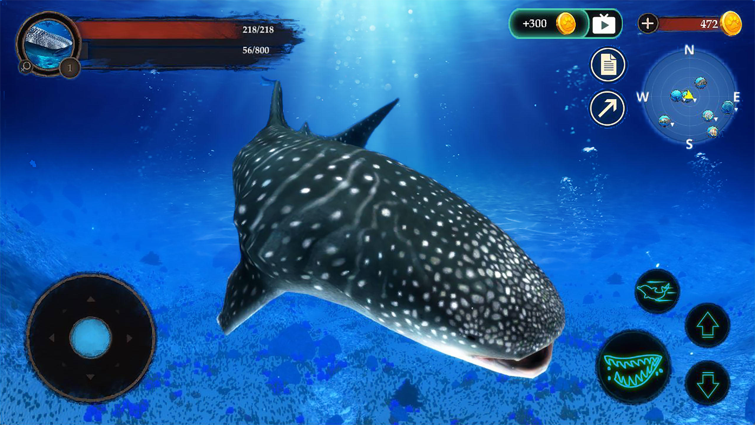 The Whale Shark android iOS apk download for free-TapTap