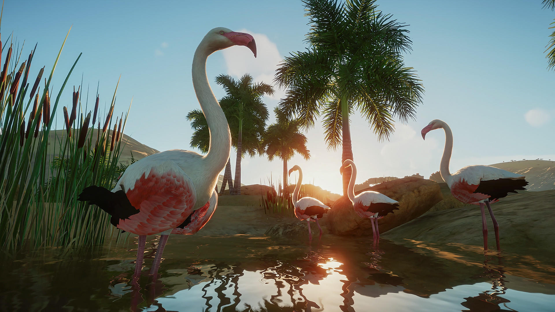 Planet Zoo Latest Version for Android/iOS APK - TapTap