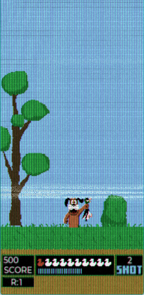 Duck Hunt android iOS apk download for free-TapTap