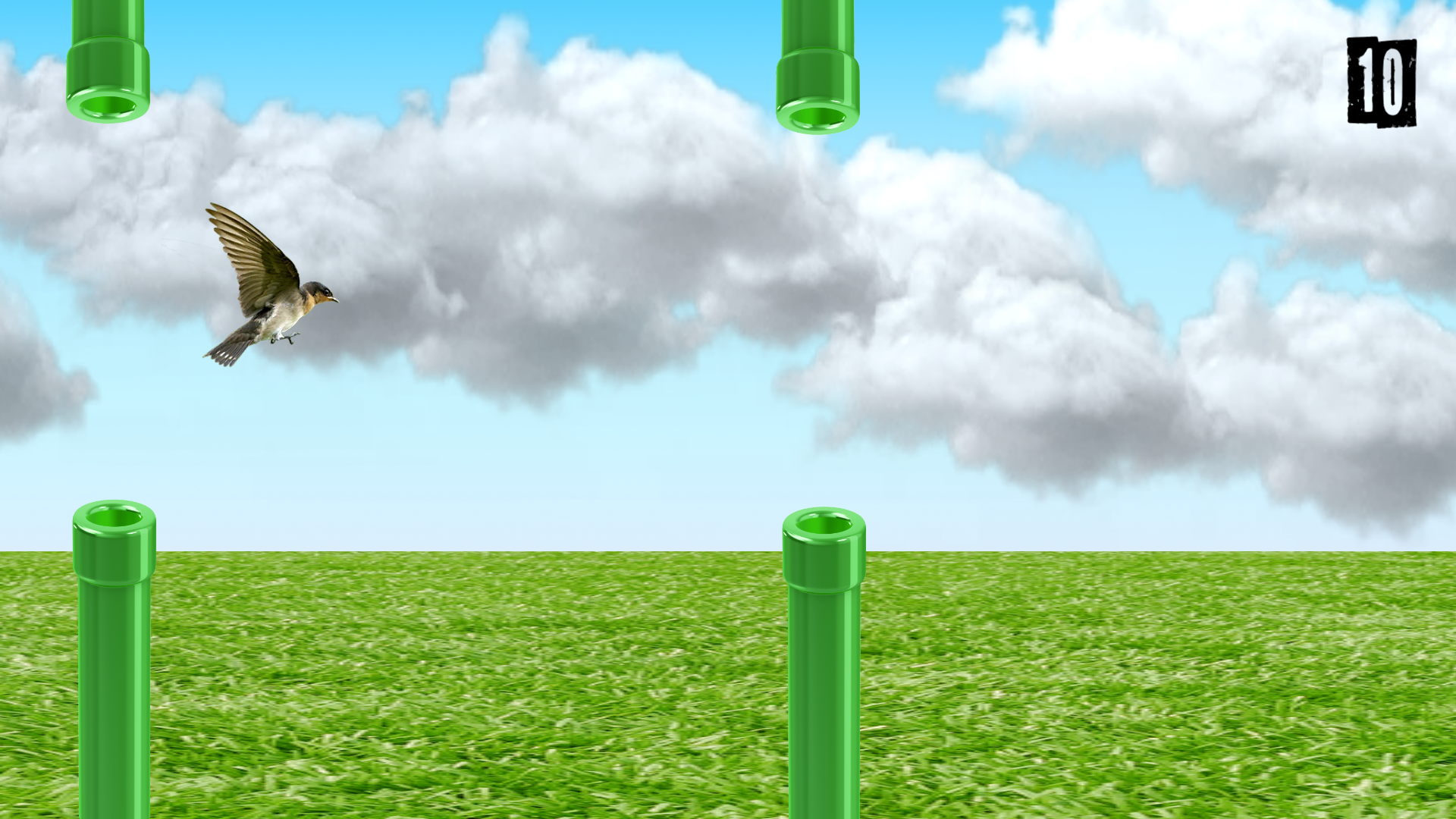 Realistic Flippy the bird hop android iOS apk download for free-TapTap