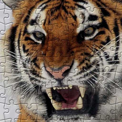 Tiger Puzzles Latest Version for Android/iOS APK - TapTap