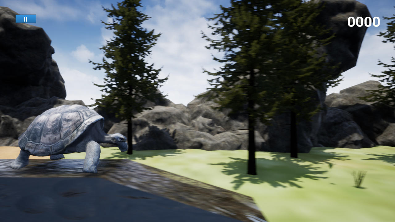 Galapagos Turtle Simulator android iOS apk download for free-TapTap