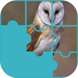 Owls Scary Puzzle Game android iOS-TapTap