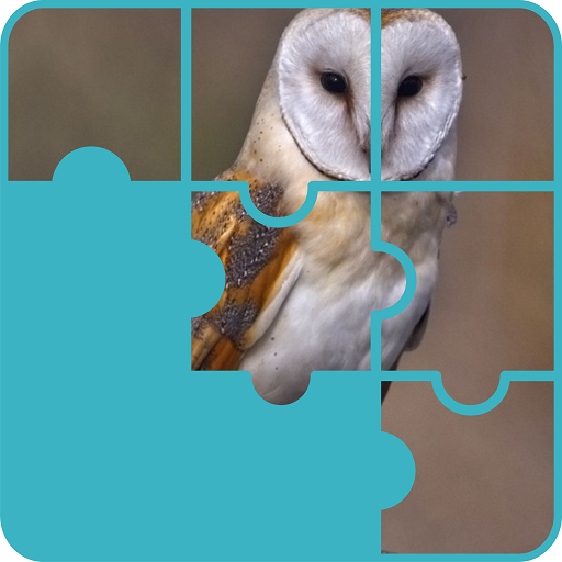 Owls Scary Puzzle Game for Android/iOS - TapTap