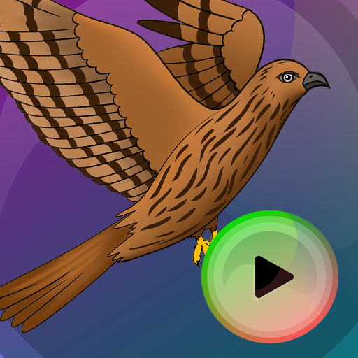 Cute Falcon Flapping Latest Version for Android/iOS - TapTap