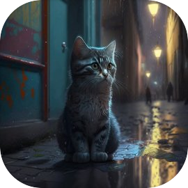 Street Cat Simulator Games 3d android iOS apk download for free-TapTap