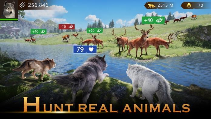 Wolf Game: Wild Animal Wars for Android/iOS - TapTap