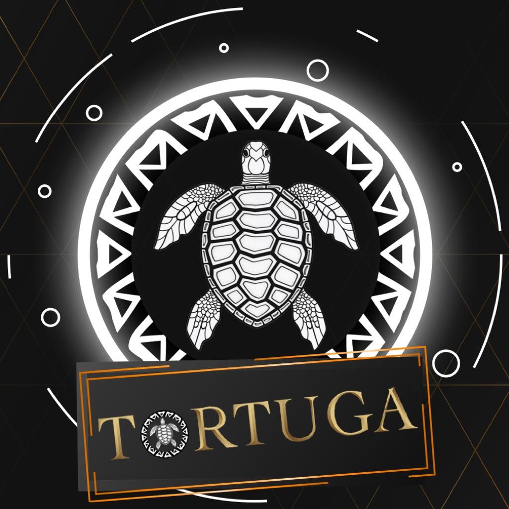 Tortuga Game for Android/iOS - TapTap