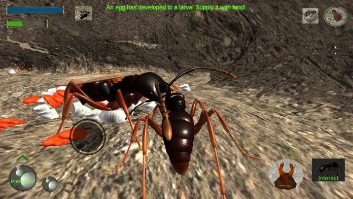 Download Ant Simulation Full for Android/iOS APK - TapTap