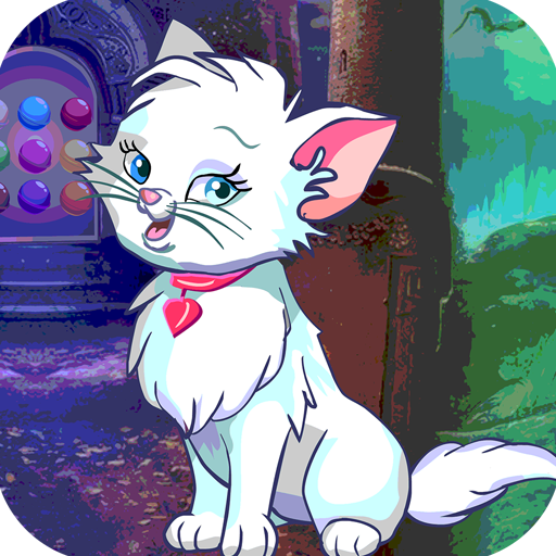 Best Escape Game 565 Find Angry Cat Game Android/iOS용