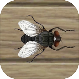 Kill Bugs android iOS-TapTap