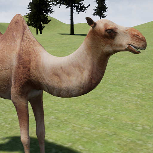 Happy Camel Simulator for Android/iOS - TapTap