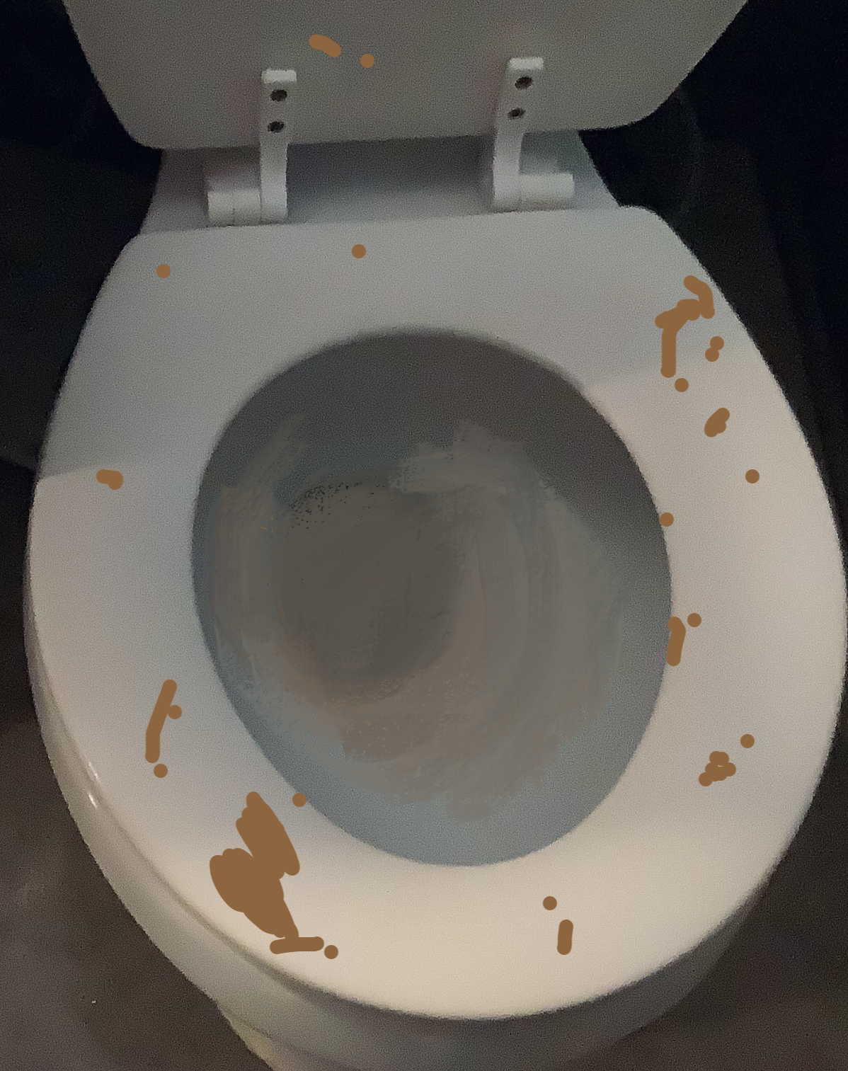 Dookie Dash Latest Version for Android/iOS APK - TapTap