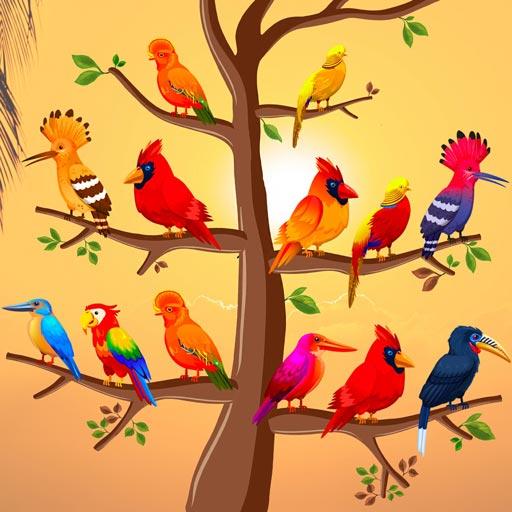 Bird Sorting Puzzle Latest Version for Android/iOS - TapTap