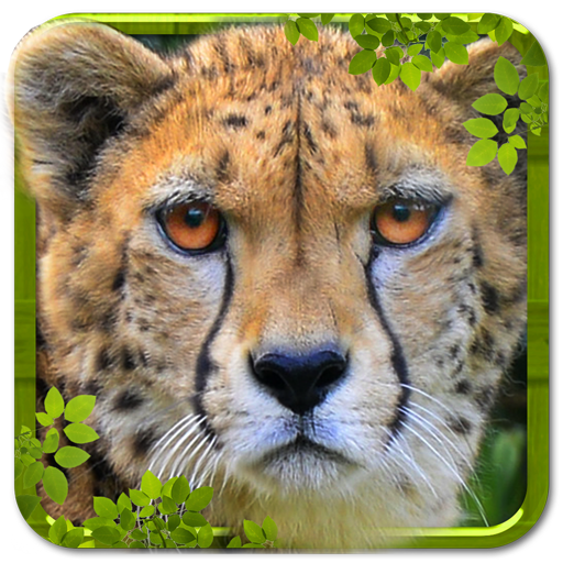 Wild Cheetah Simulator 3D for Android/iOS - TapTap