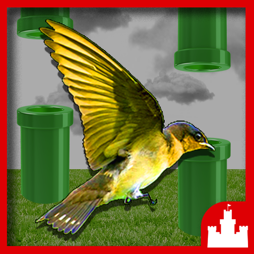 Realistic Flippy the bird hop for Android/iOS - TapTap