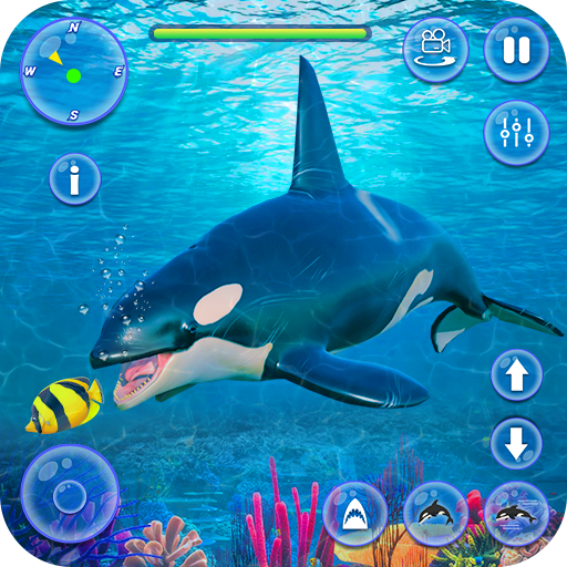 Orca Killer Whale Simulator for Android/iOS - TapTap