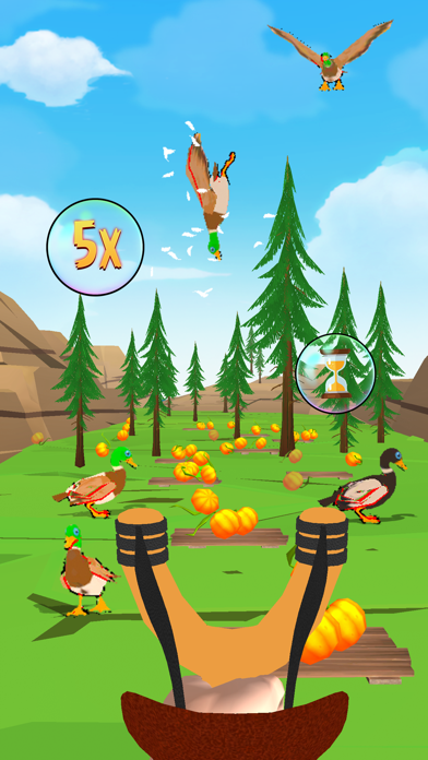Crazy bird hunting shooter 3d android iOS apk download for free-TapTap