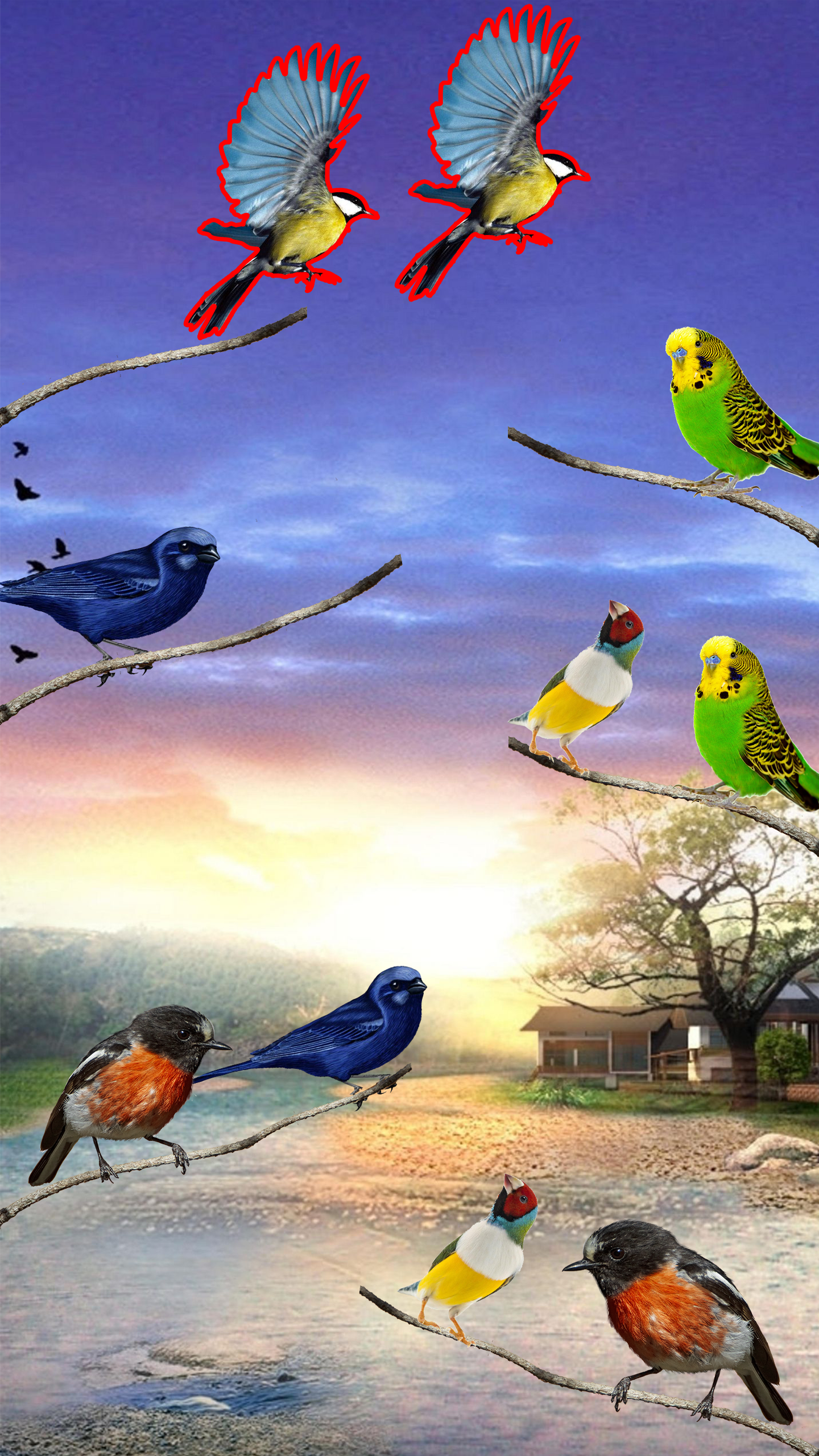 Bird Sort Puzzle Birds Sorting android iOS apk download for free-TapTap