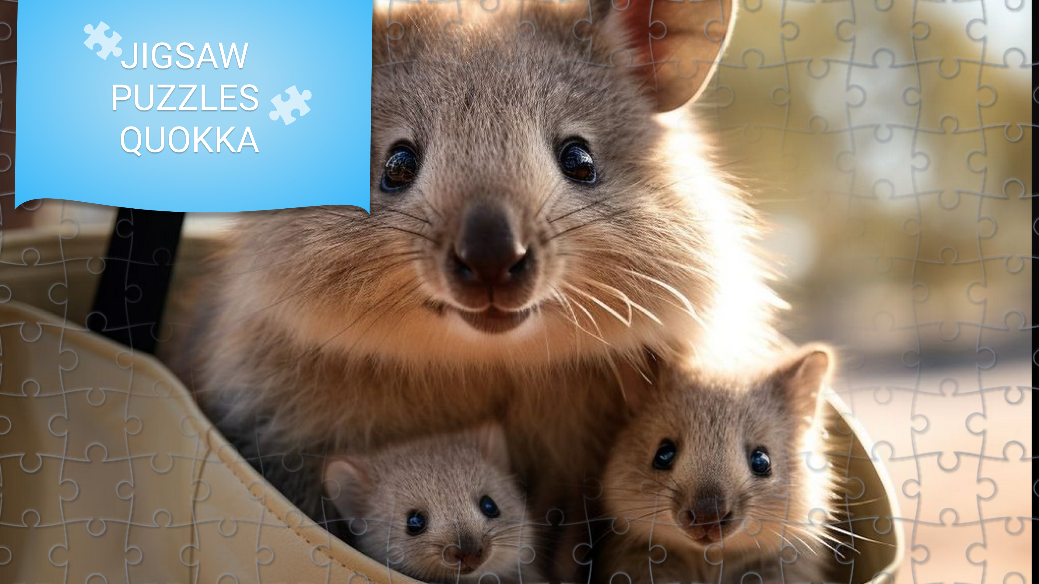 Quokka Games Jigsaw Puzzles android iOS apk download for free-TapTap