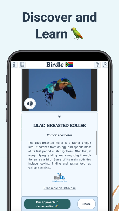 Birdle - A Daily Guessing Game for Android/iOS - TapTap